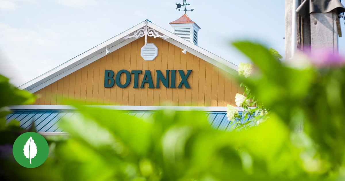 Radis mix en ruban - Semences - Faucher - Plantes et Pavés